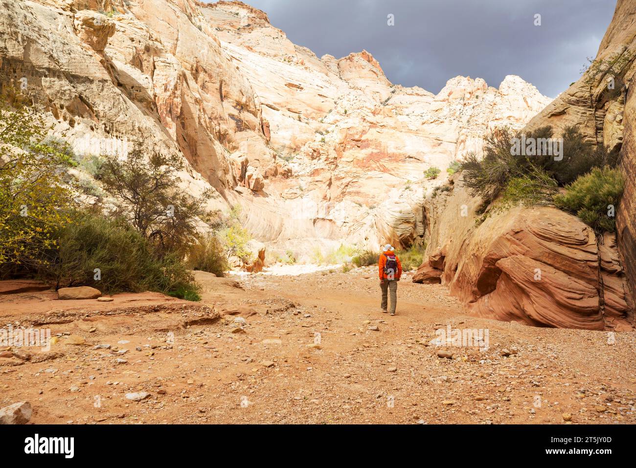 Hike in the Utah mountains. Hiking in unusual natural landscapes ...