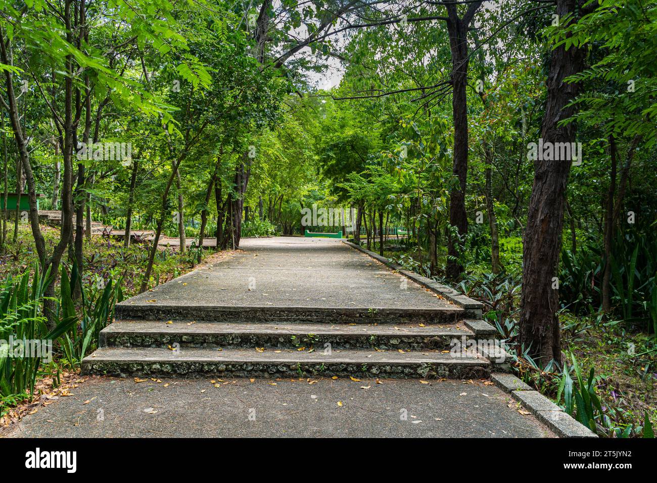 Beautiful view of the The 3 Eyes National Park in Santo Domingo ...