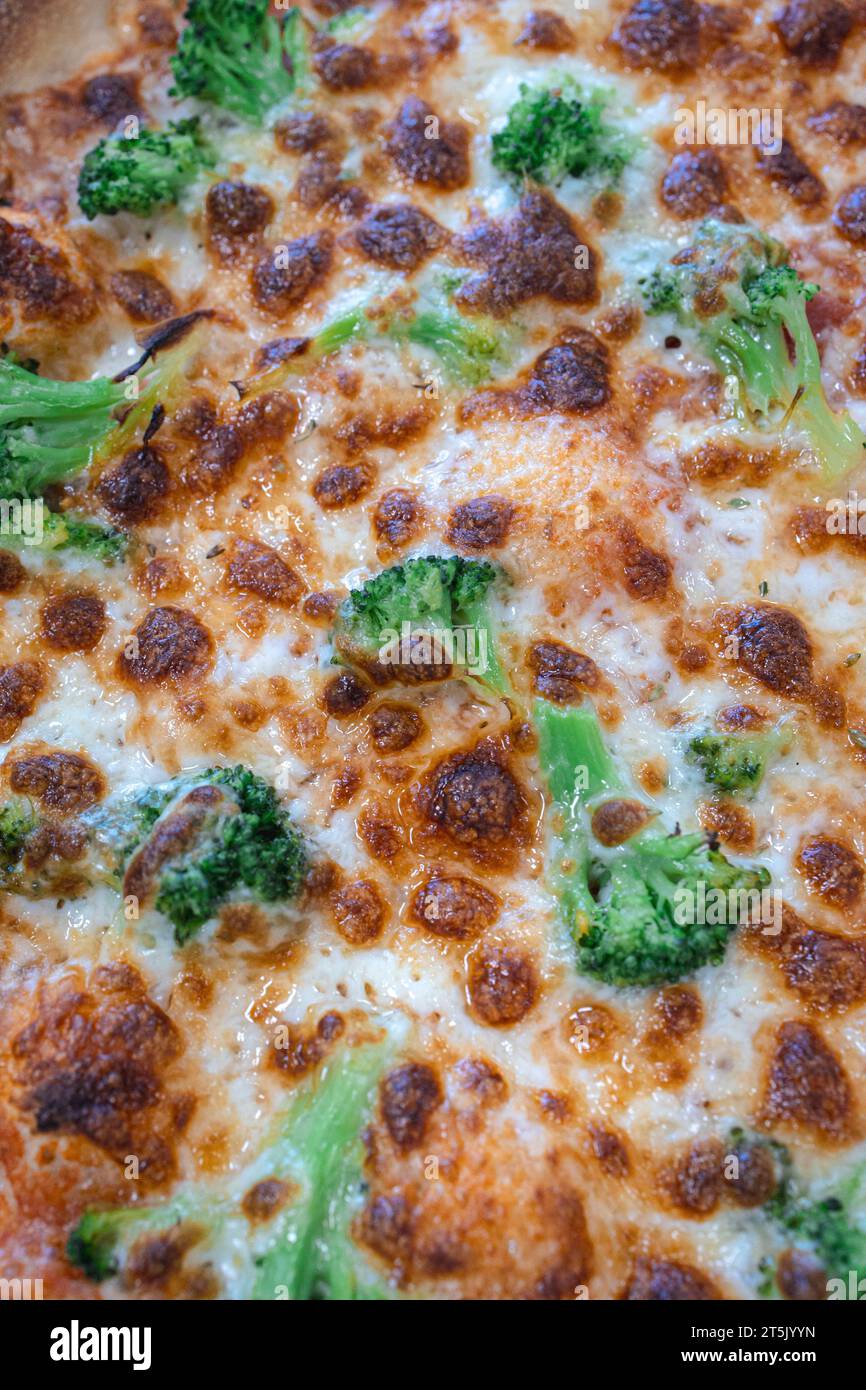 A freshly cooked pizza with melted cheese and broccoli Stock Photo - Alamy