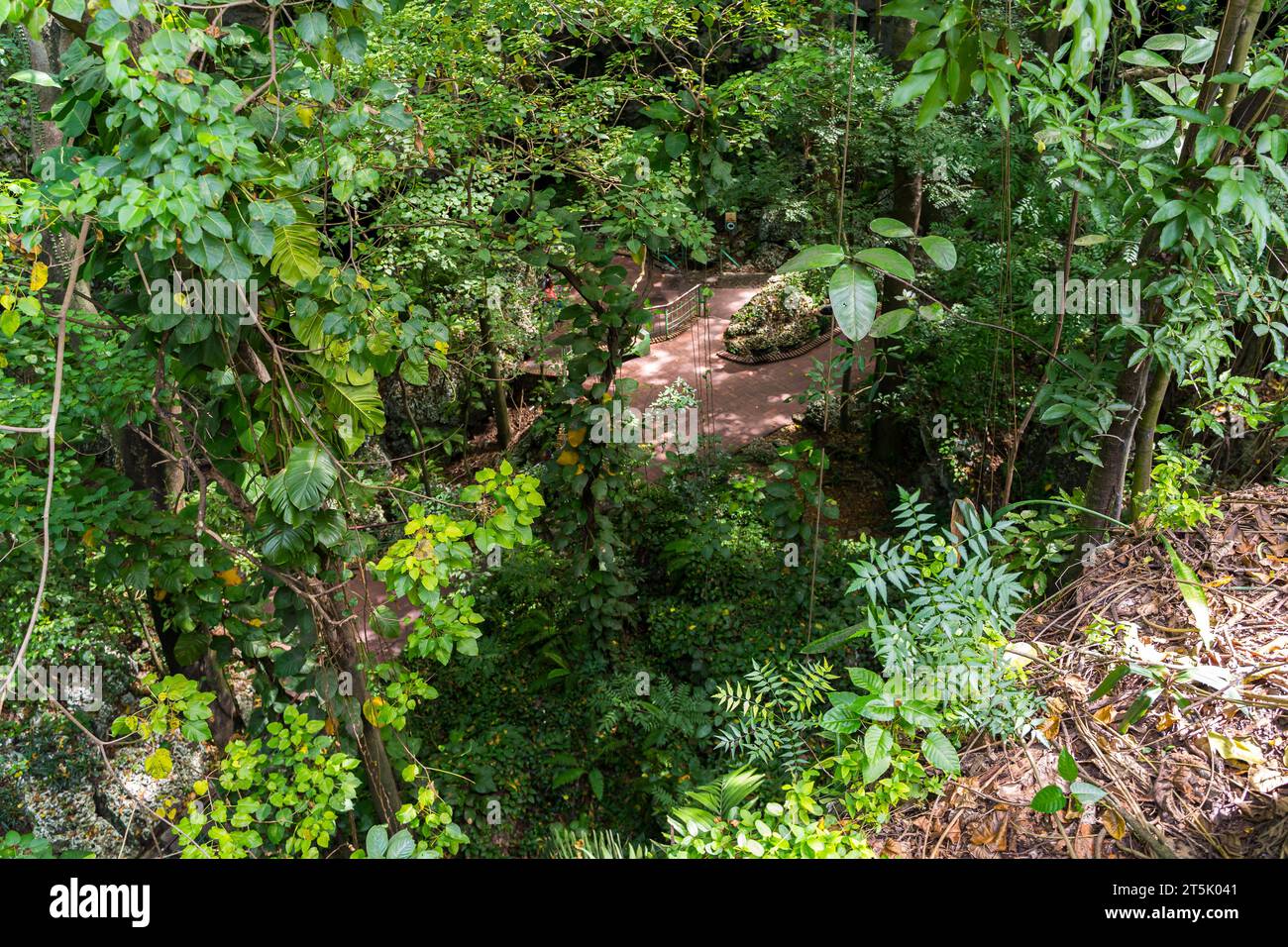 Beautiful view of the The 3 Eyes National Park in Santo Domingo ...