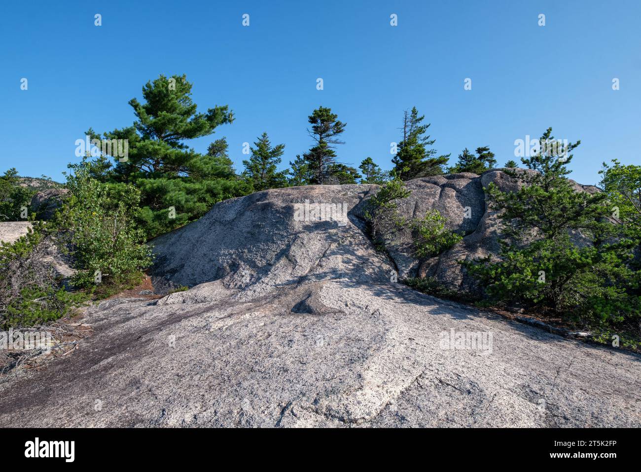 Photograph of the rocky landscape atop Carter Ledge on Carter Ledge ...