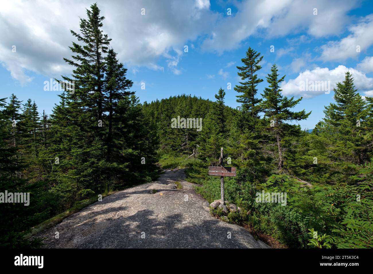 Middle Sister Trail Champney Falls Trail sign post as Middle Sister ...