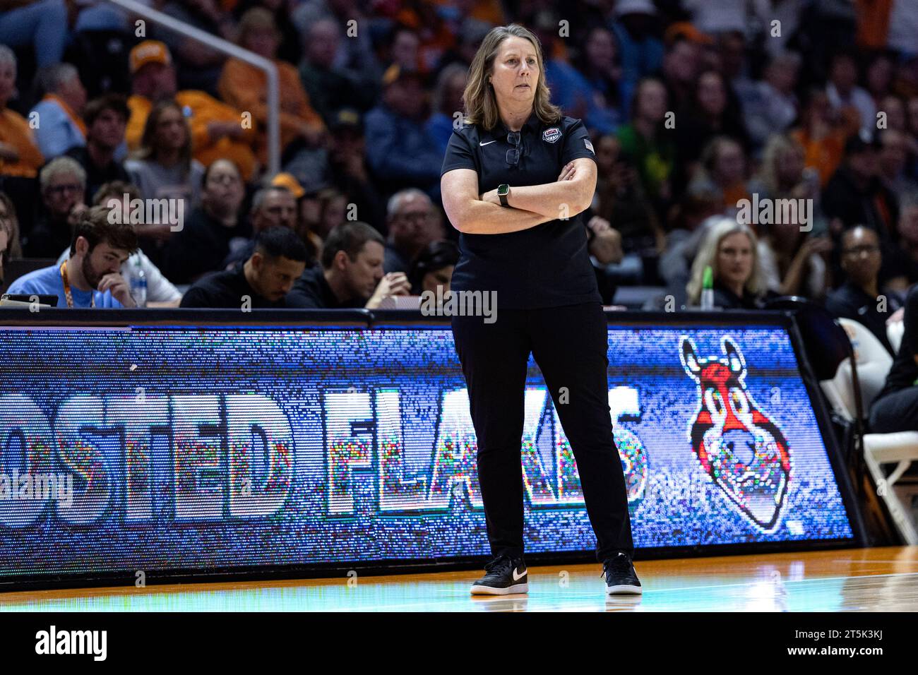 Team USA head coach Cheryl Reeve watches play during the second half of ...
