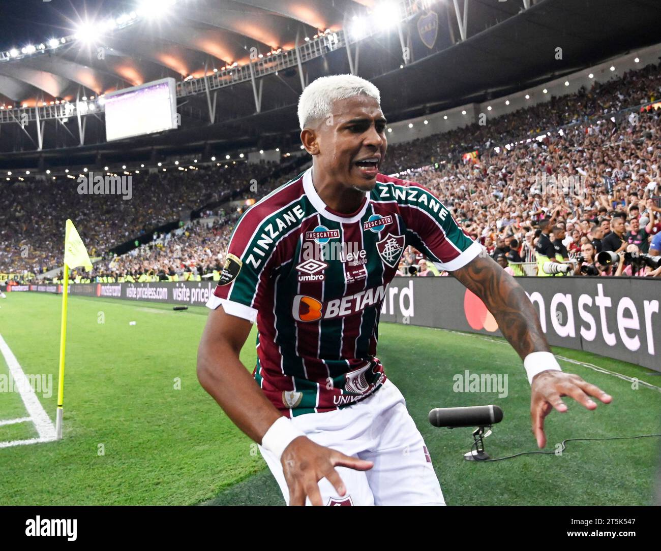 Rio de Janeiro-Brazil,04-11-2023 Fluminense celebrates the title of ...