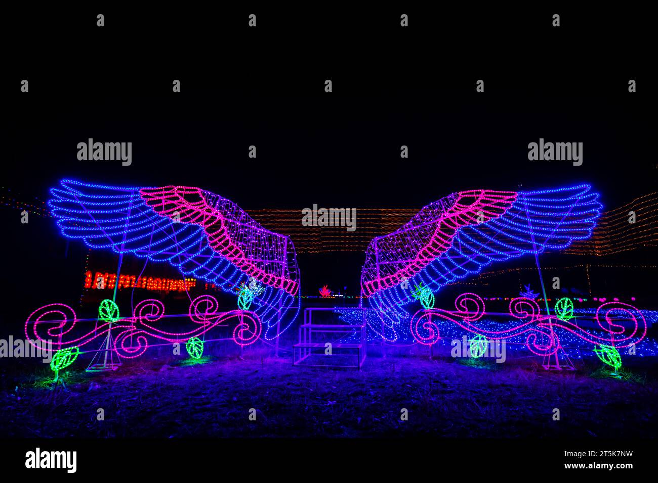 Lighting effect of wing shape in black background Stock Photo - Alamy