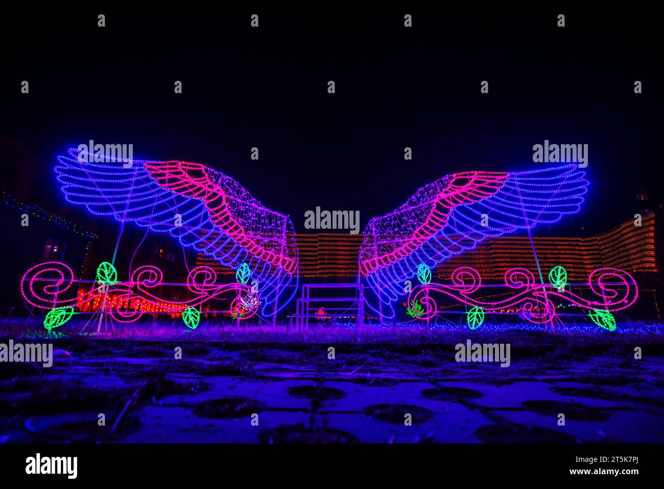 Lighting effect of wing shape in black background Stock Photo - Alamy