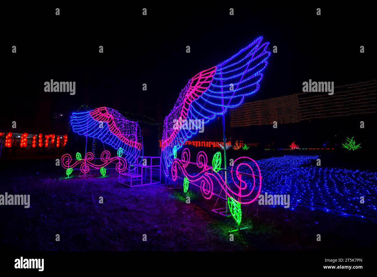 Lighting effect of wing shape in black background Stock Photo - Alamy