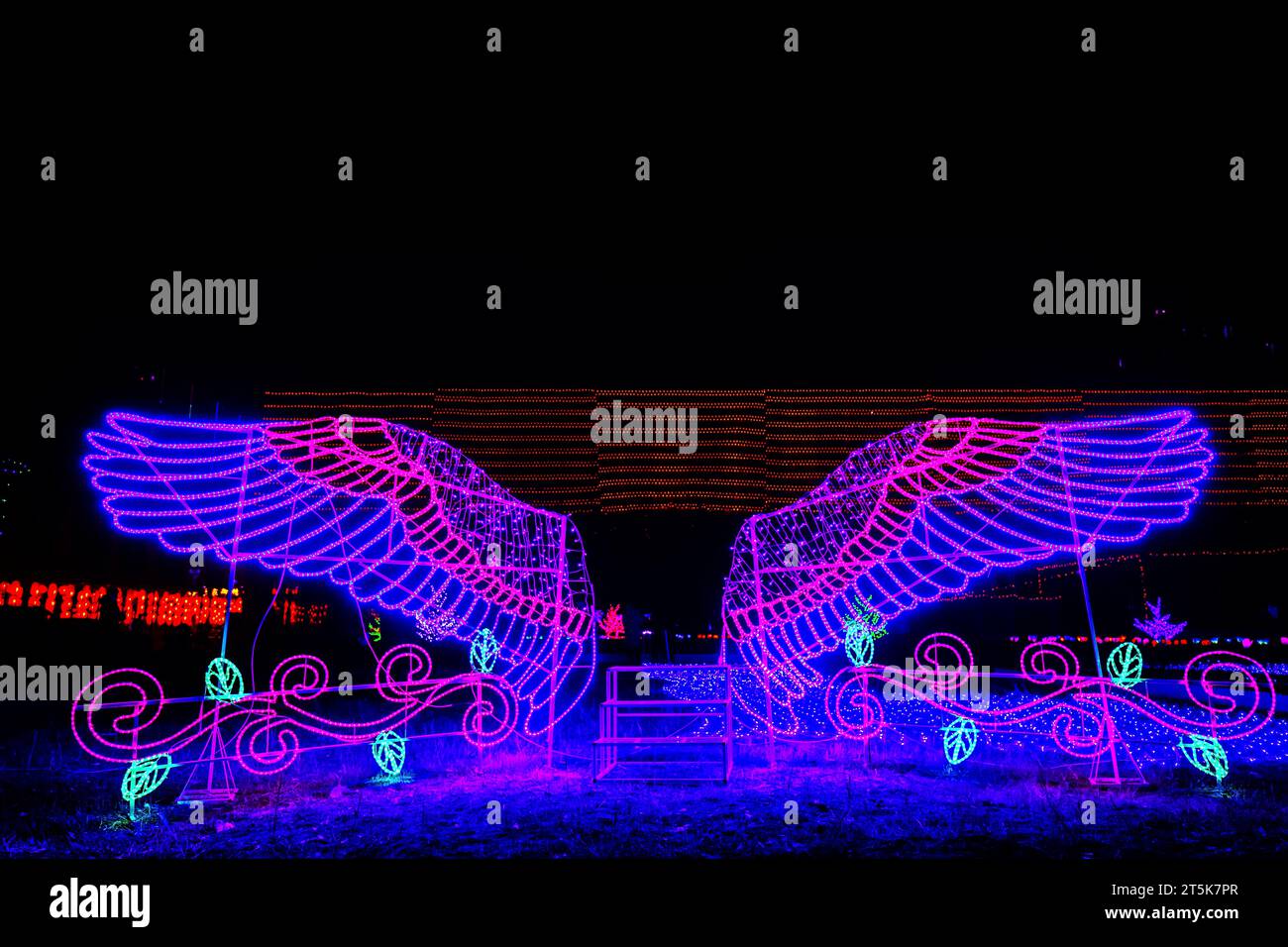 Lighting effect of wing shape in black background Stock Photo - Alamy