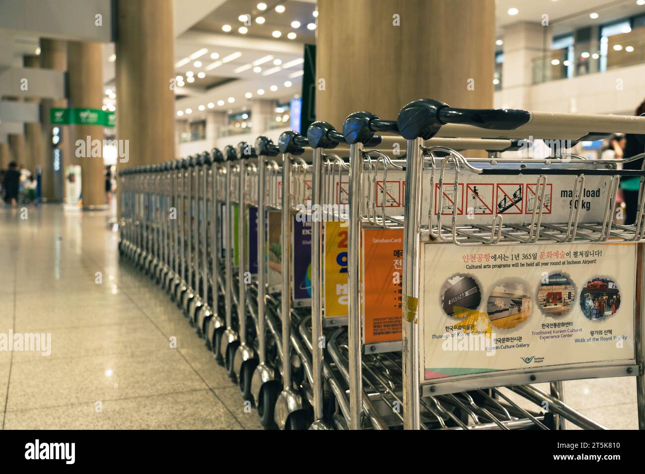 Row of luggage carts at Incheon International Airport terminal, South ...