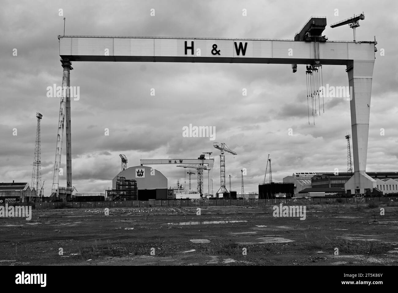 A close up of the Samson and Goliath gantry Cranes on Queens Island ...
