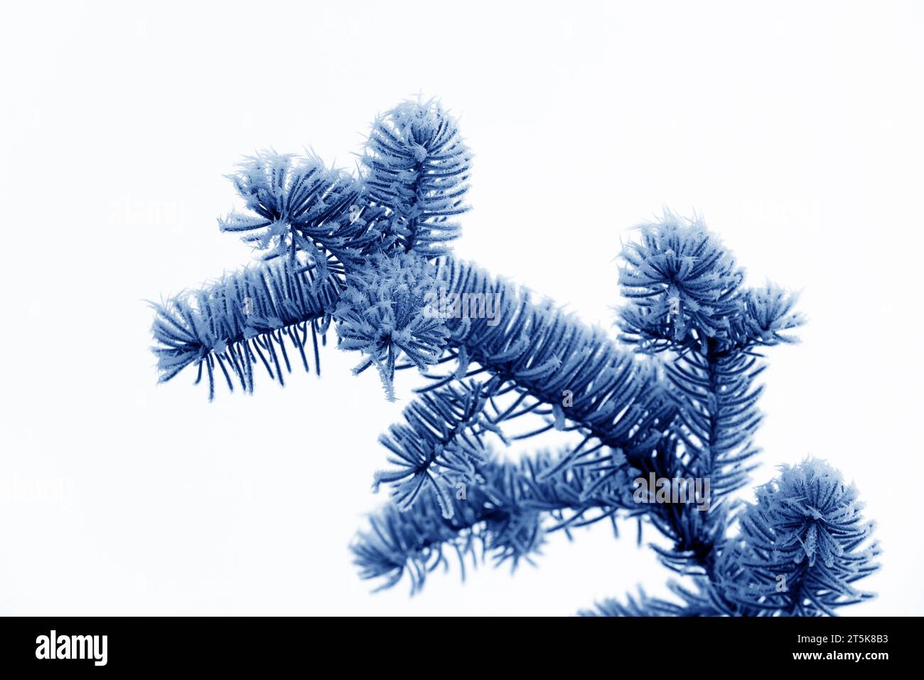 Snow covered park landscape Cut Out Stock Images & Pictures - Alamy