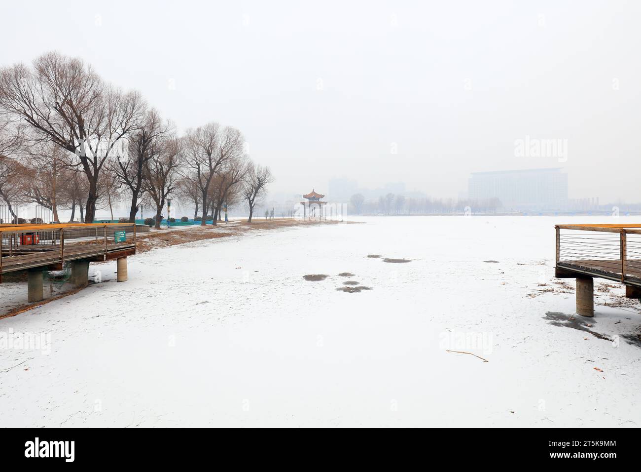 Park snow scene Stock Photo - Alamy