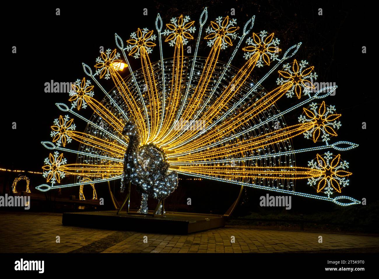 Peacock Holiday illuminated decorations in Oliva Park Gdansk Poland ...