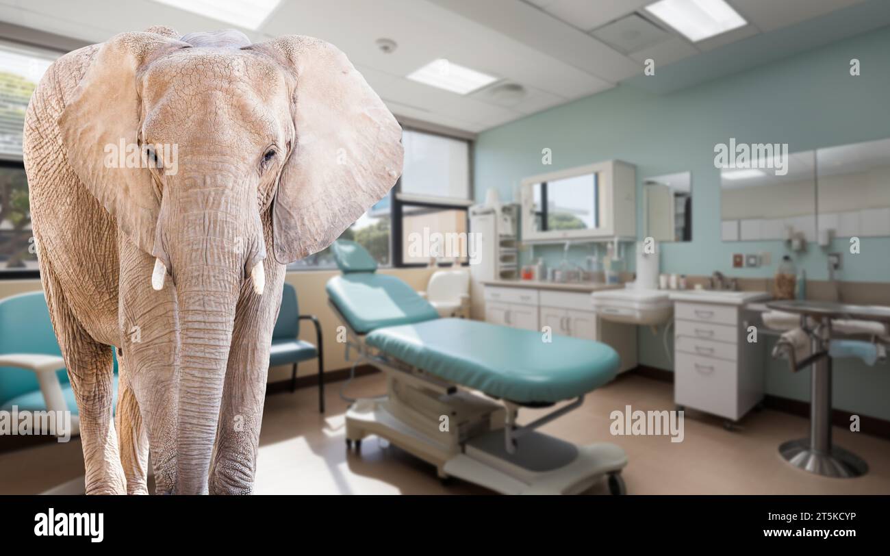 Medical Doctors Office Examining Room at a Hospital with an Elephant in ...
