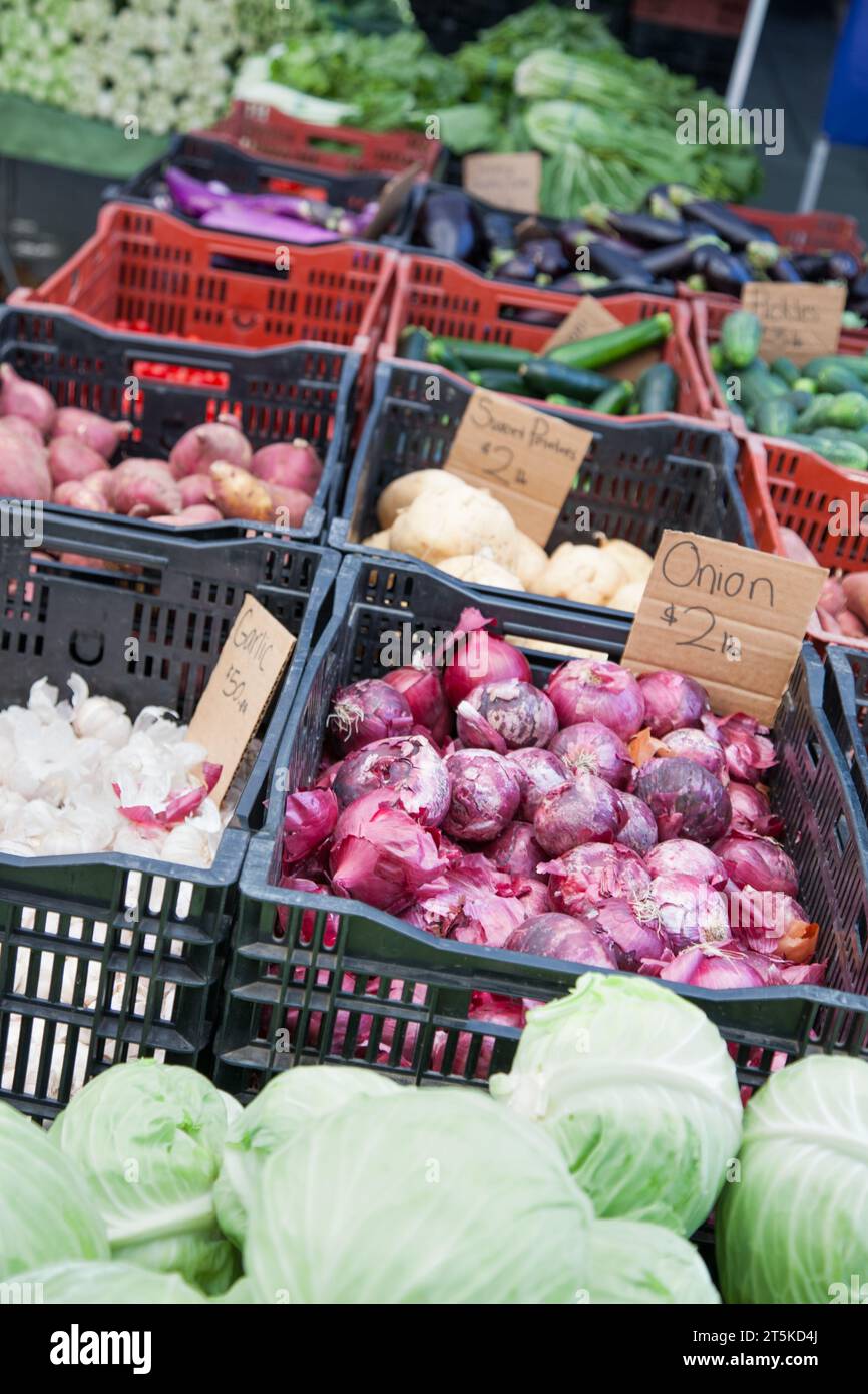 Variety of Freshly Picked Organic Vegetables on Display at the Farmers ...