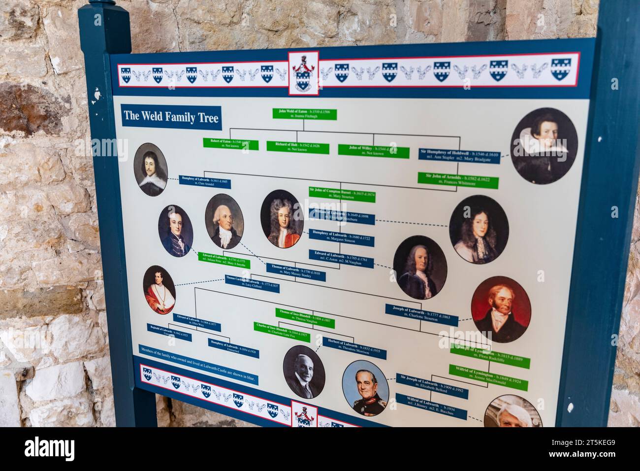 Weld family tree hi-res stock photography and images - Alamy