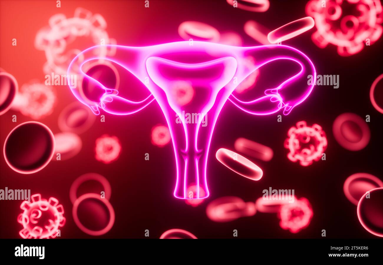 Uterus and blood cells, medical biological concept, 3d rendering. 3d ...