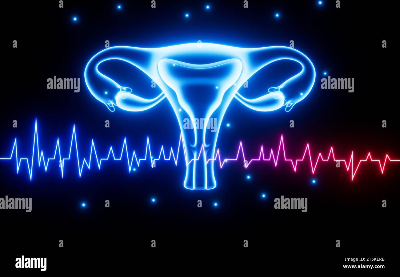 Uterus and menstrual cycle, gynecological health, 3d rendering. 3D ...