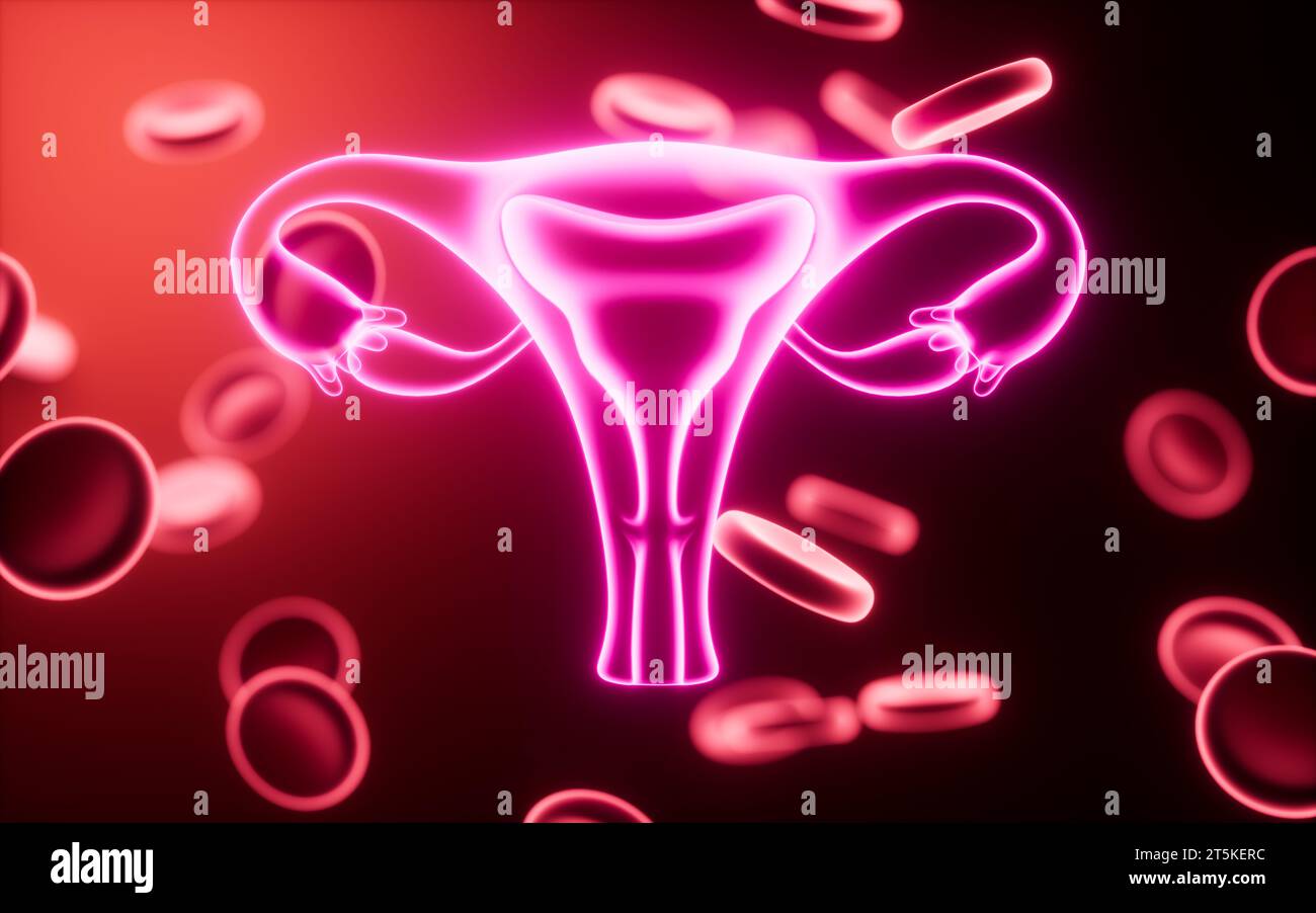 Uterus and blood cells, medical biological concept, 3d rendering. 3d ...