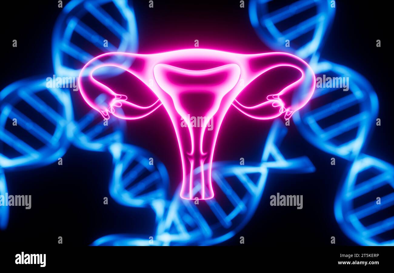 Uterus and DNA, reproductive system and genetic inheritance, 3d ...