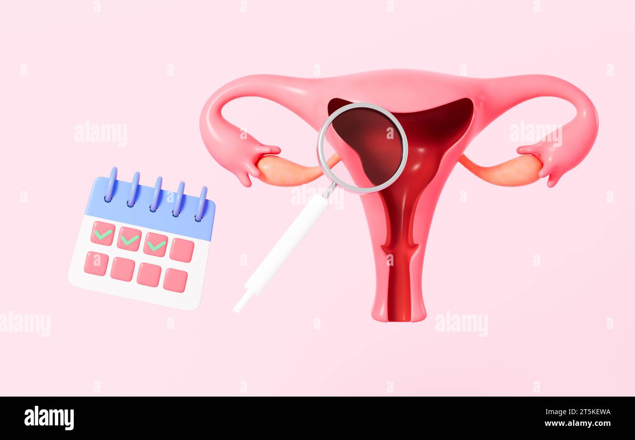 Cartoon uterus and calendar, menstrual cycle concept, 3d rendering. 3d ...