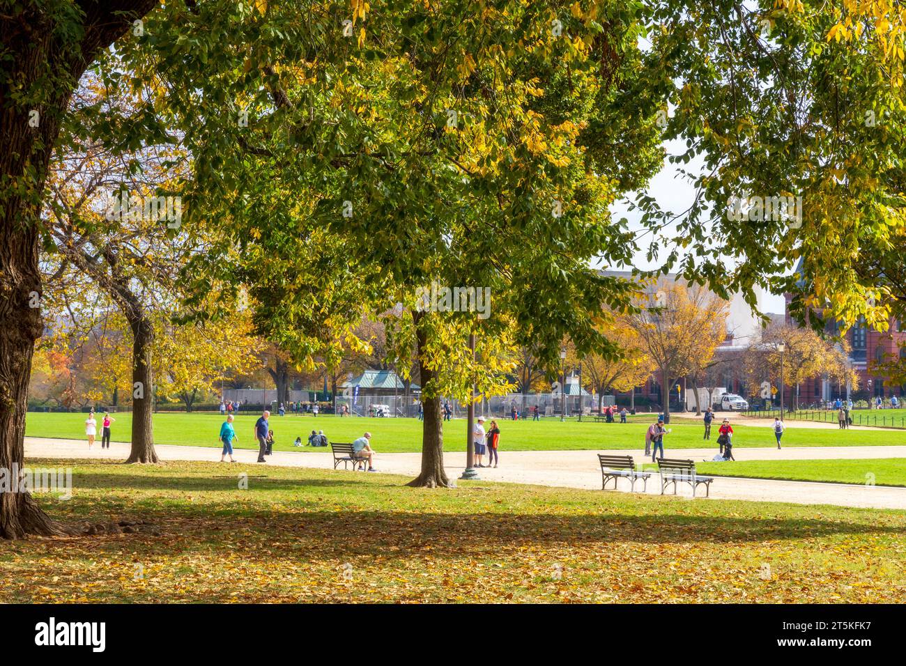 Dc fall foliage hi-res stock photography and images - Alamy