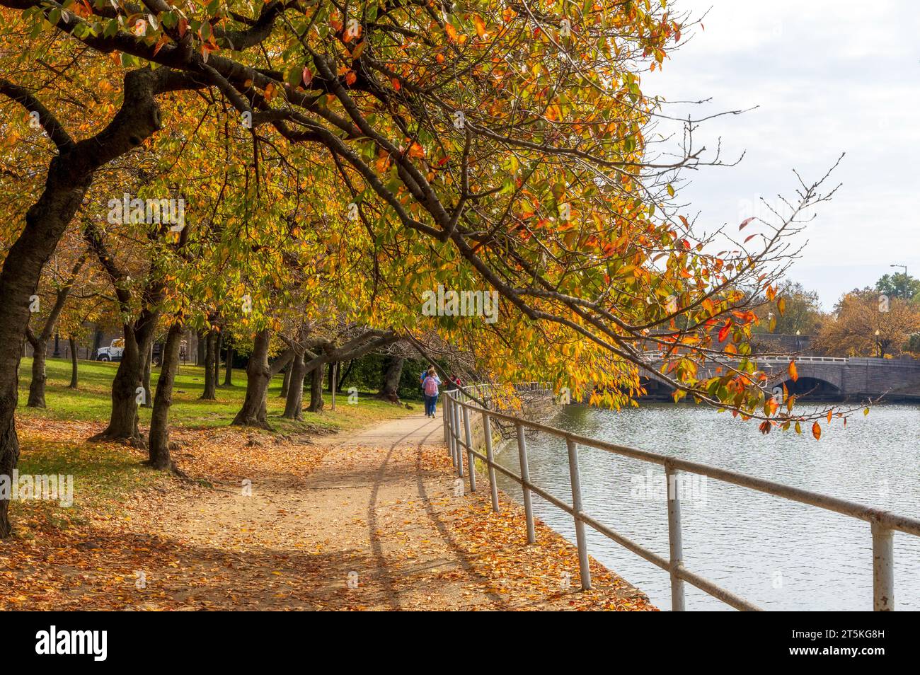 Washington dc water plant hi-res stock photography and images - Alamy