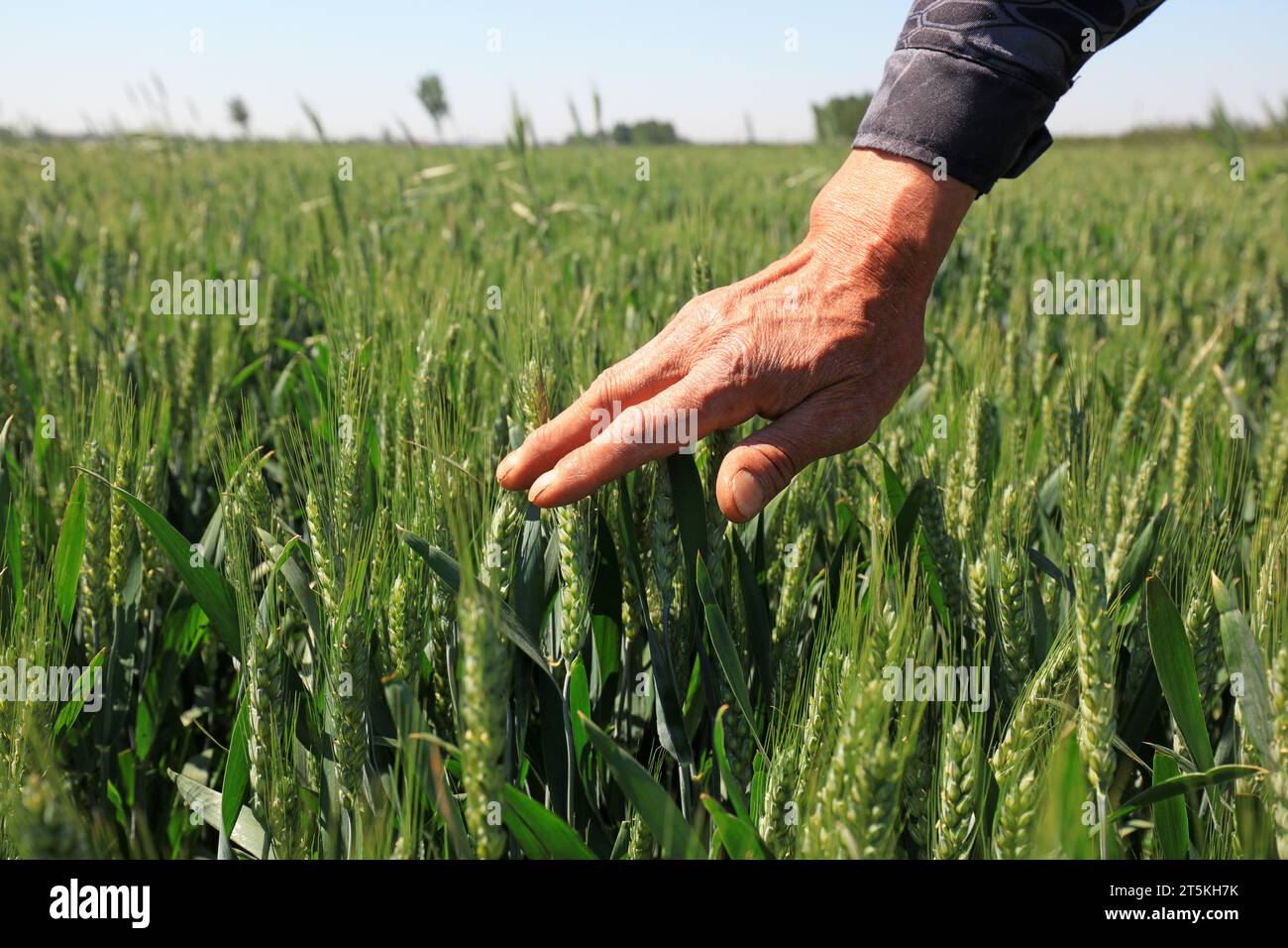 Touching photos hi-res stock photography and images - Alamy