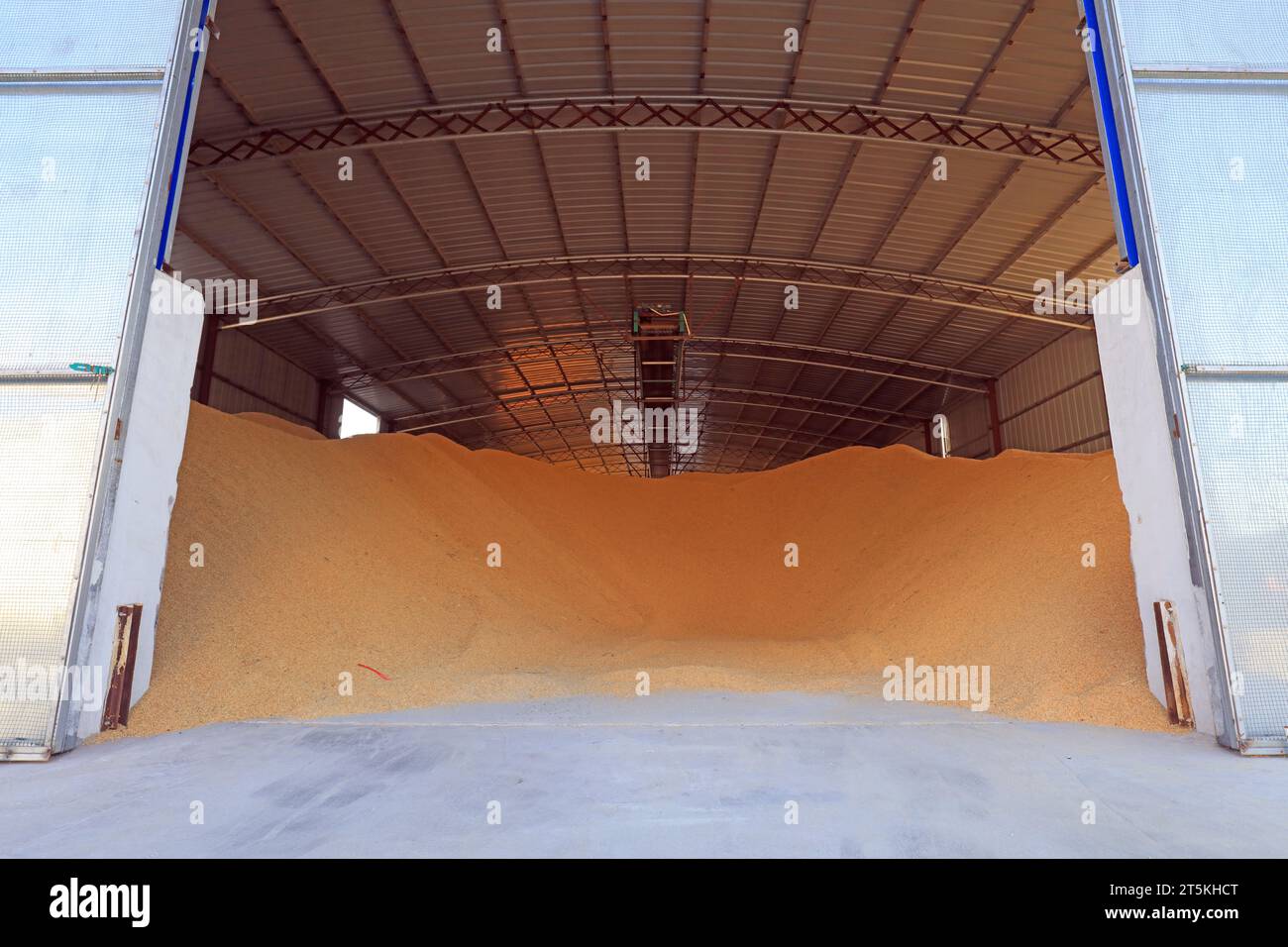 Rice Hull Warehouse with Steel Beam Structure Stock Photo - Alamy