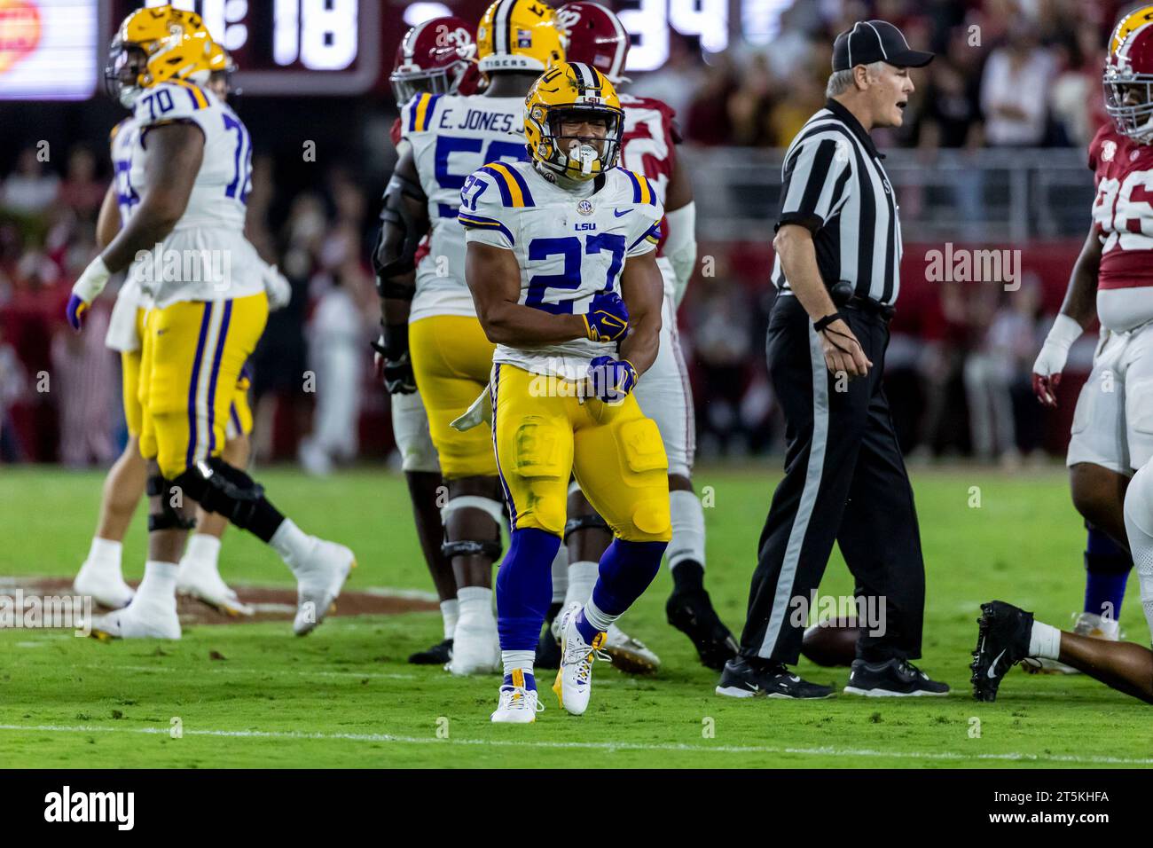 LSU running back Josh Williams (27) celebrates a first down run against ...