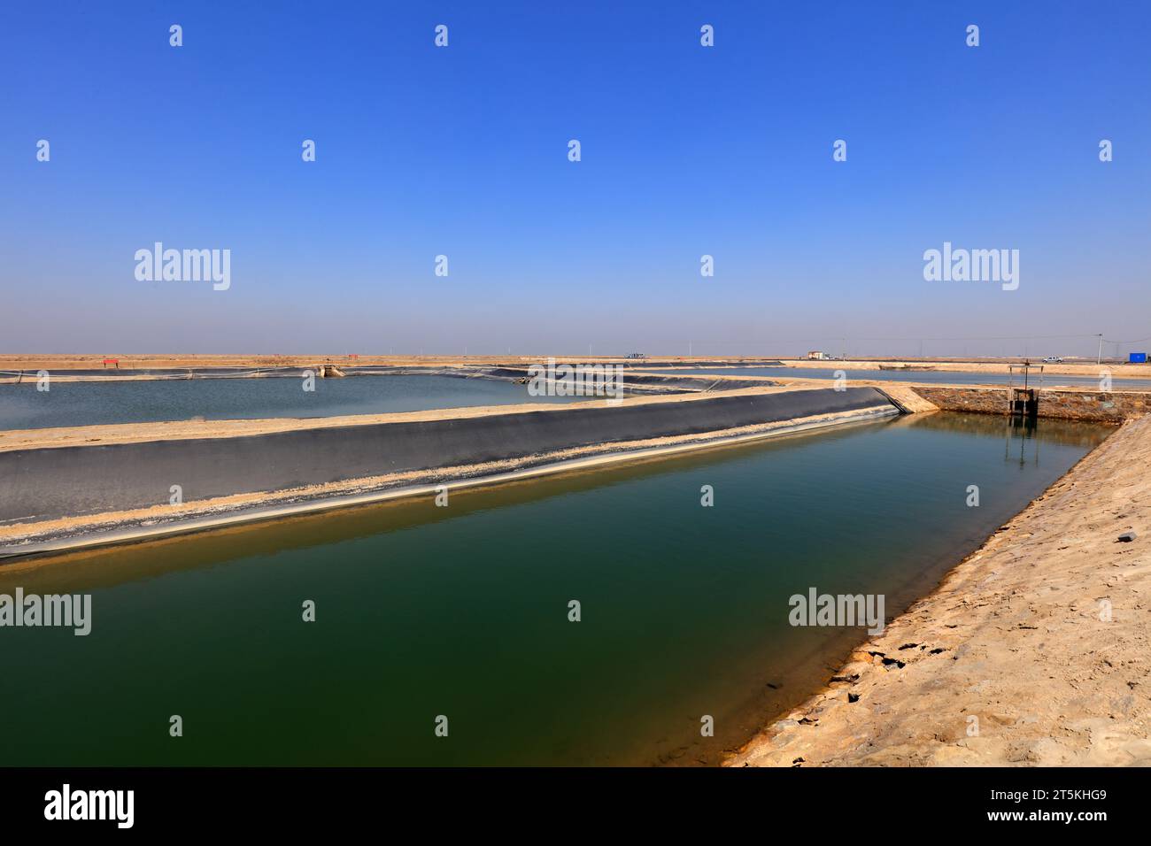 Aquaculture natural fish ponds hi-res stock photography and images - Alamy