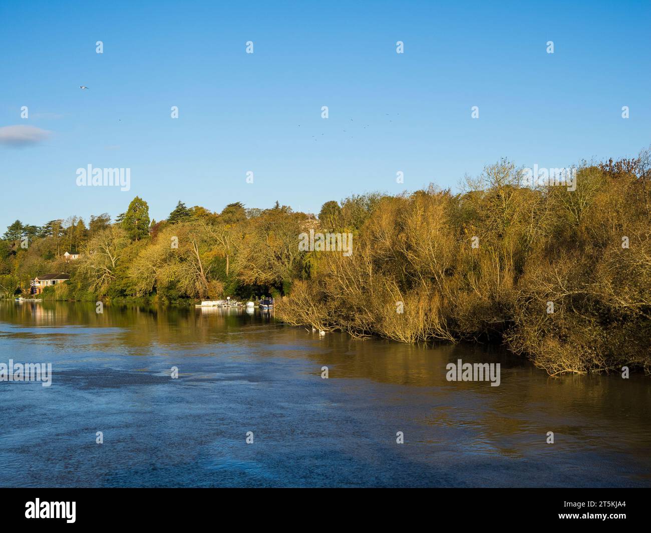River Bank, Caversham, Reading, Berkshire, England, UK, GB Stock Photo ...
