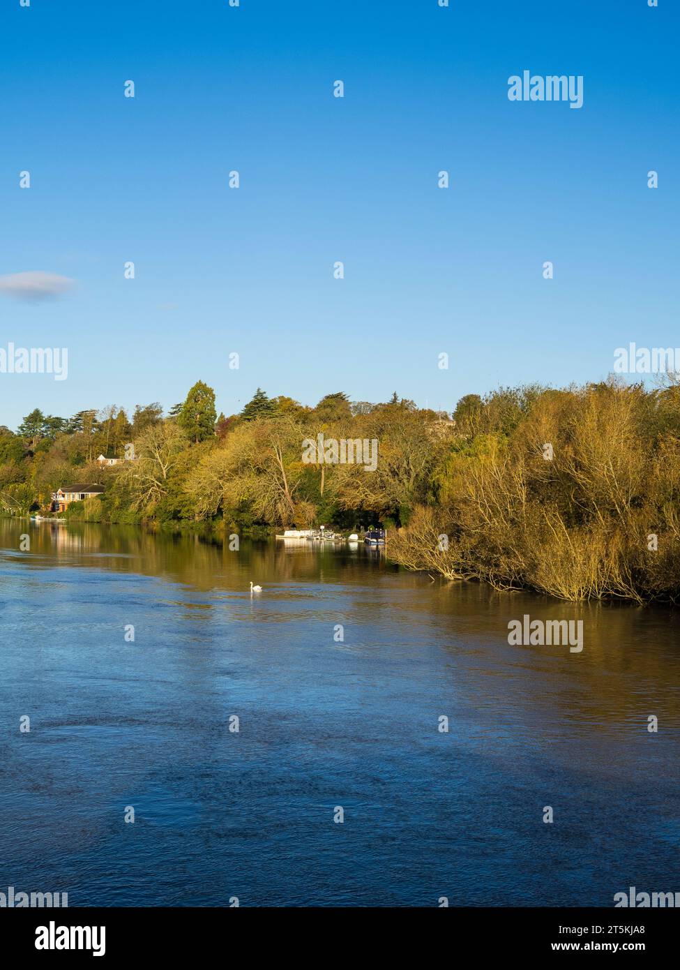 River Bank, Caversham, Reading, Berkshire, England, UK, GB Stock Photo ...