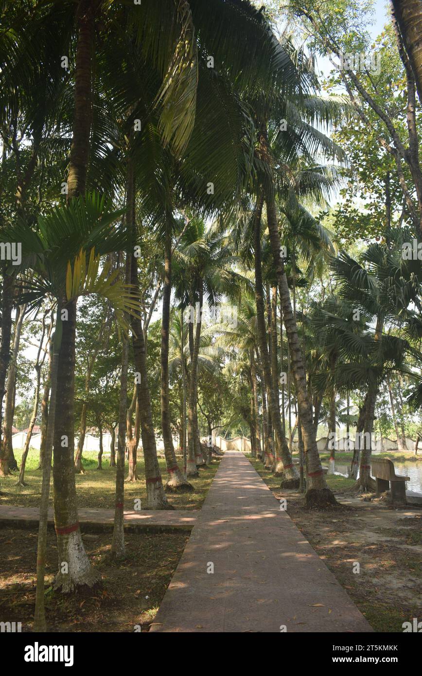 Shilaidaha Rabindra Kuthibari, Kumarkhali area Kushtia, Bangladesh ...