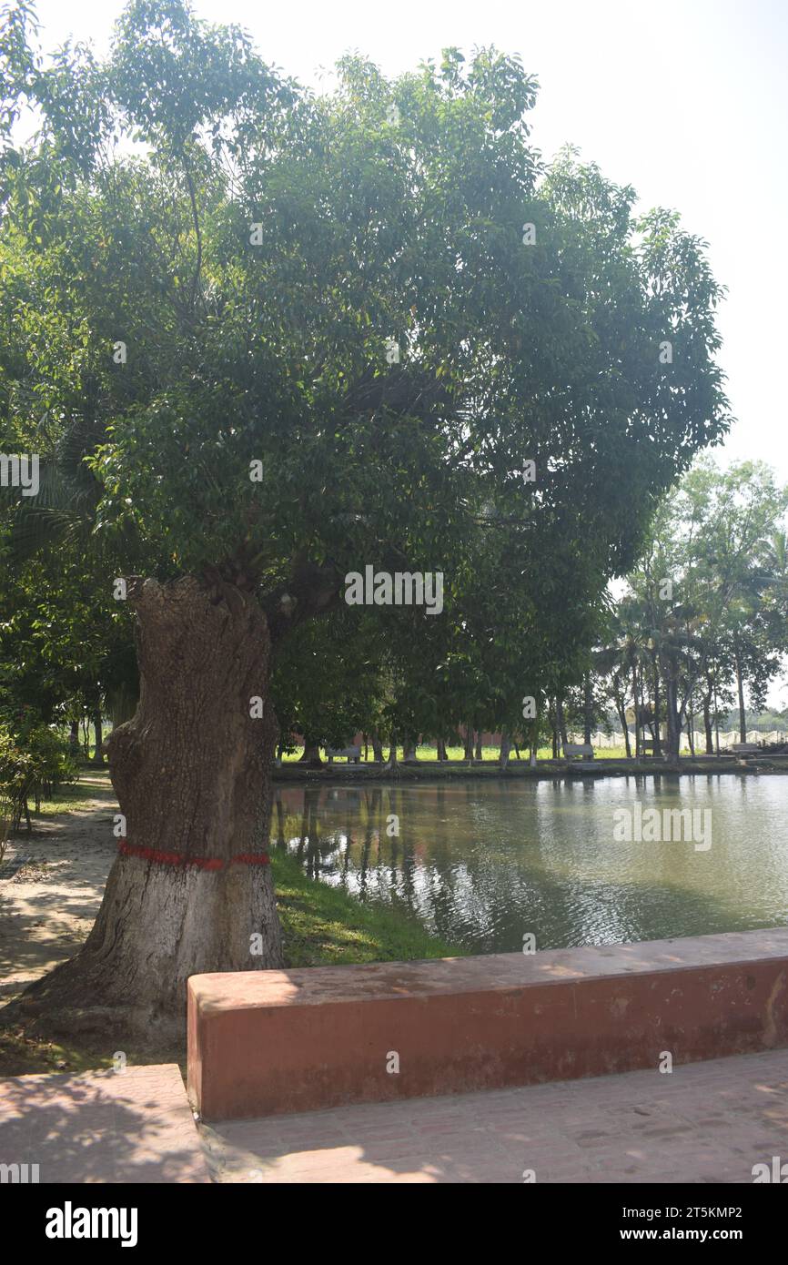 Shilaidaha Rabindra Kuthibari, Kumarkhali, Kushtia, Bangladesh Stock ...
