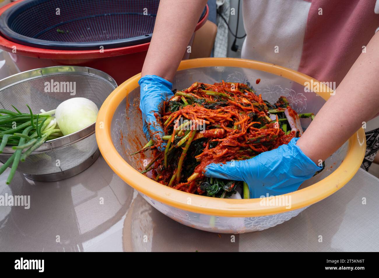 The process of making a traditional Korean dish, kimchi. A woman ...