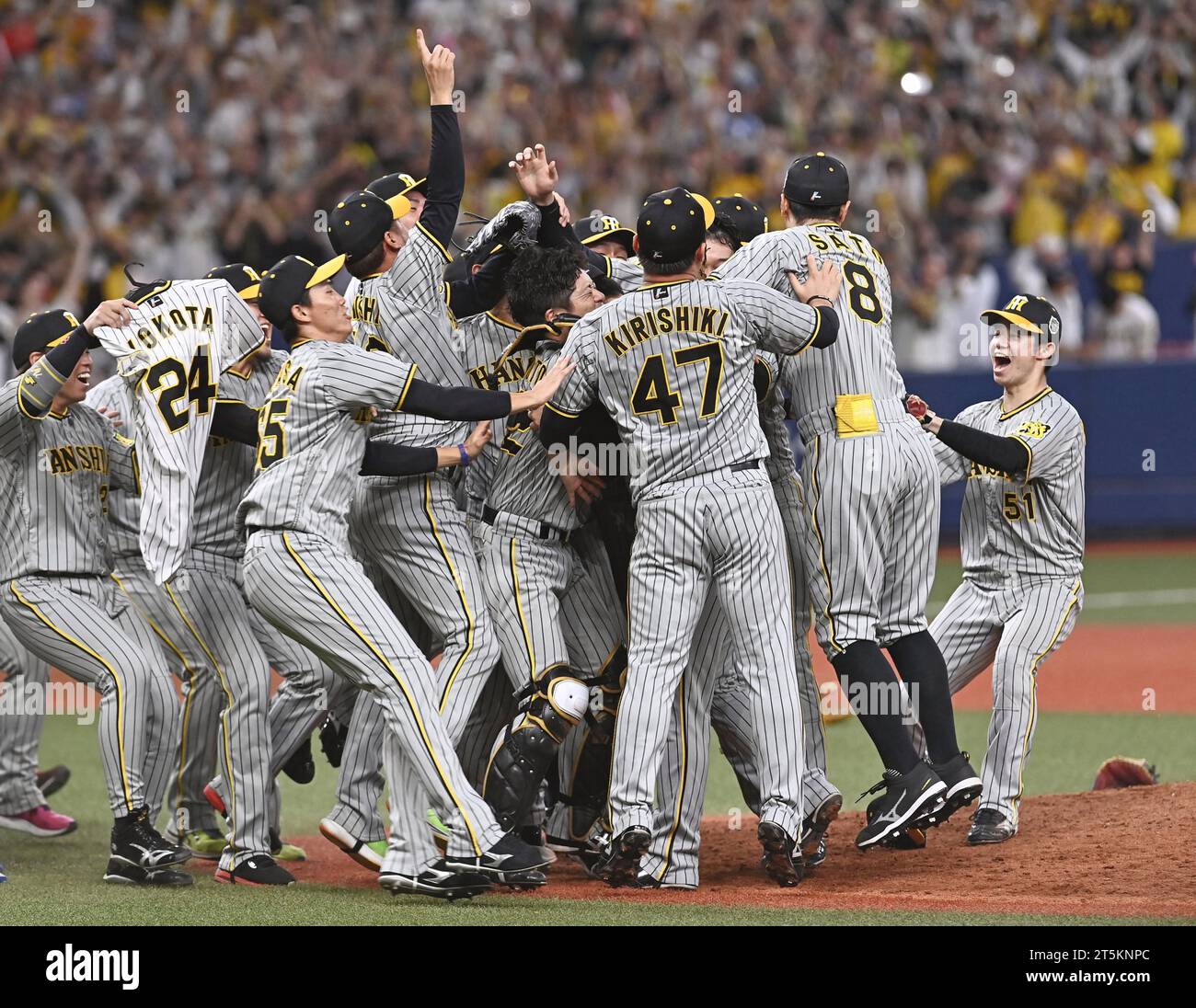 Hanshin Tigers players celebrate winning the Japan Series baseball championship at Kyocera Dome ...