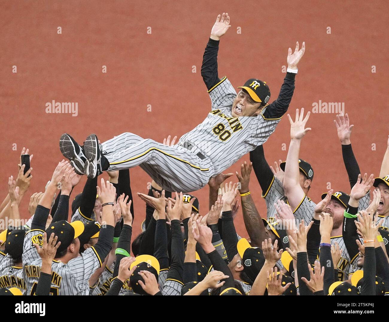 Hanshin Tigers players toss manager Akinobu Okada into the air after ...