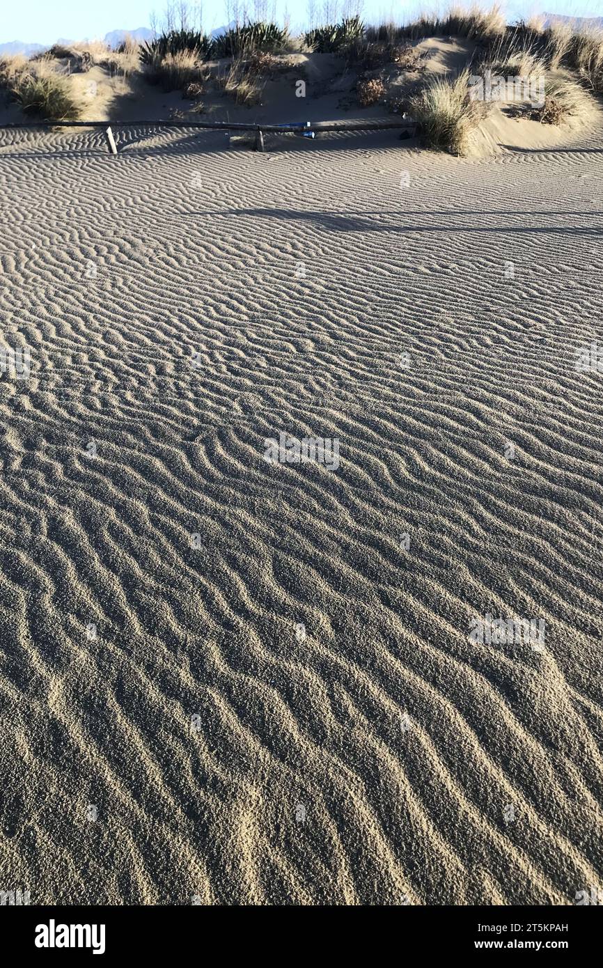 Photographic documentation of the sand smoothed and drawn by the strong ...