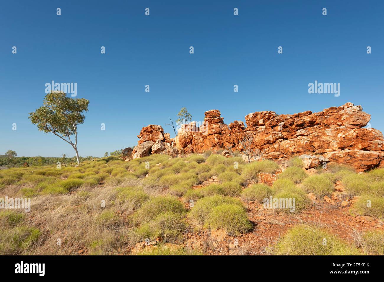 Sandstone outcrop and spinifex in the Outback along the Tanami Road ...