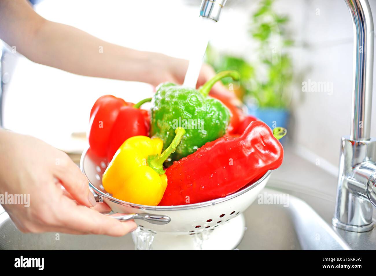 Woman washing dishes spoon hi-res stock photography and images - Alamy