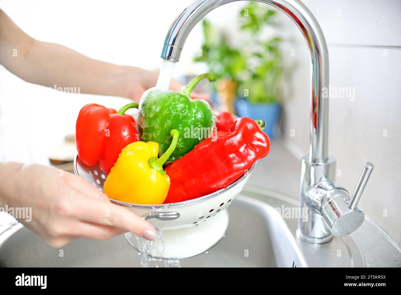 Woman washing green plate hi-res stock photography and images - Alamy