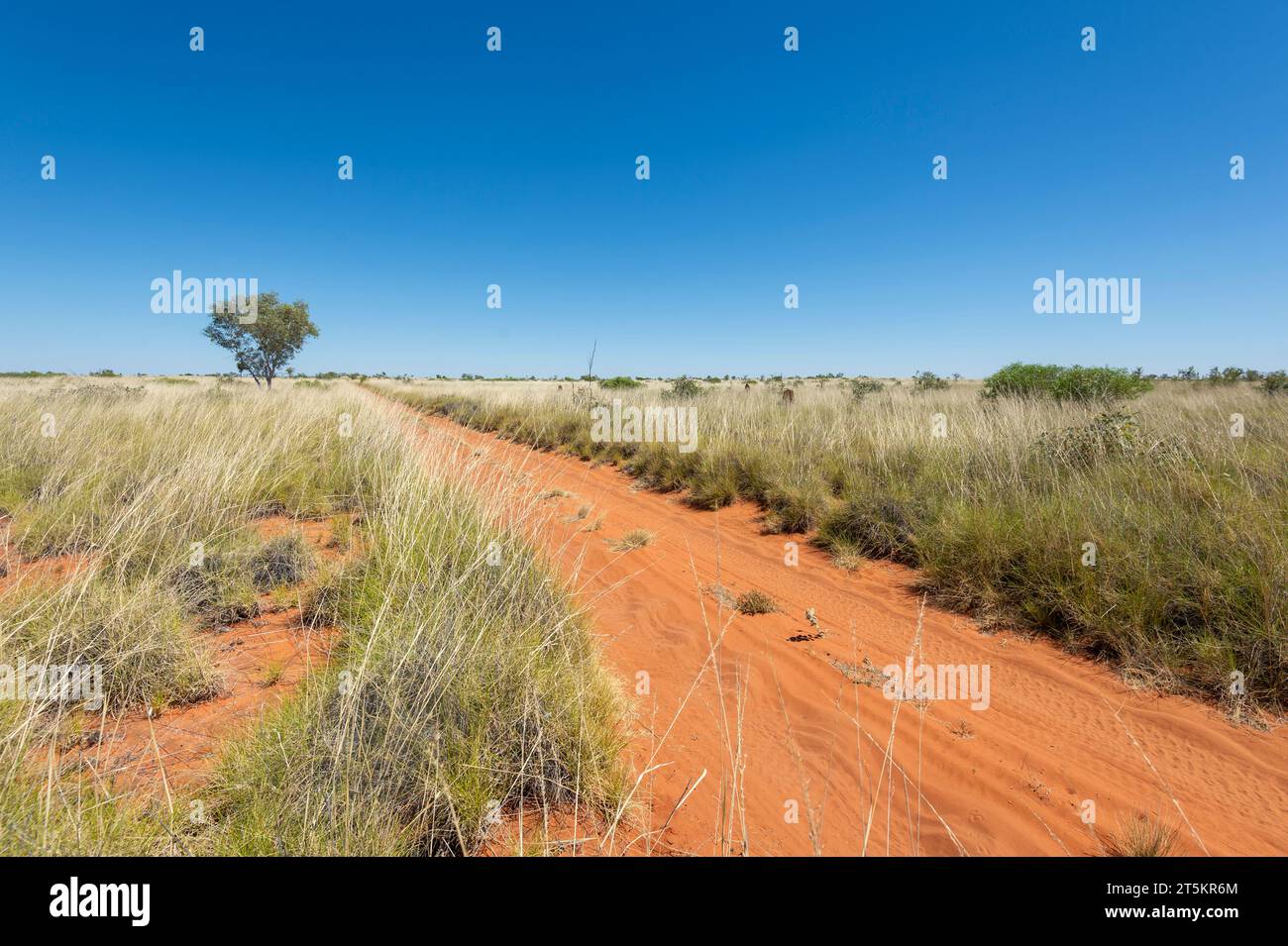 The Canning Stock Route, 1,850 km, is the longest historic stock route ...