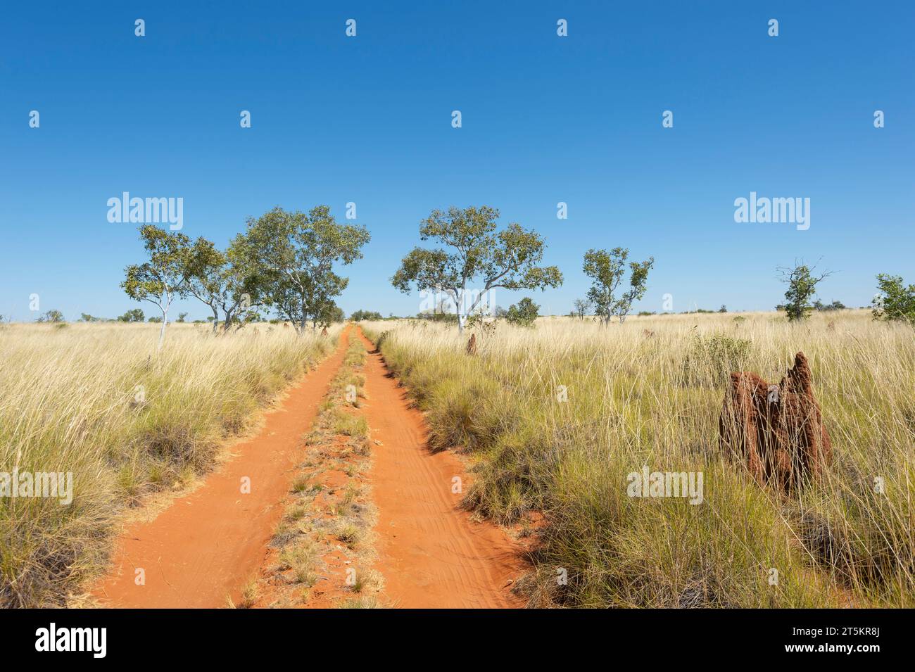 The Canning Stock Route, 1,850 km, is the longest historic stock route ...