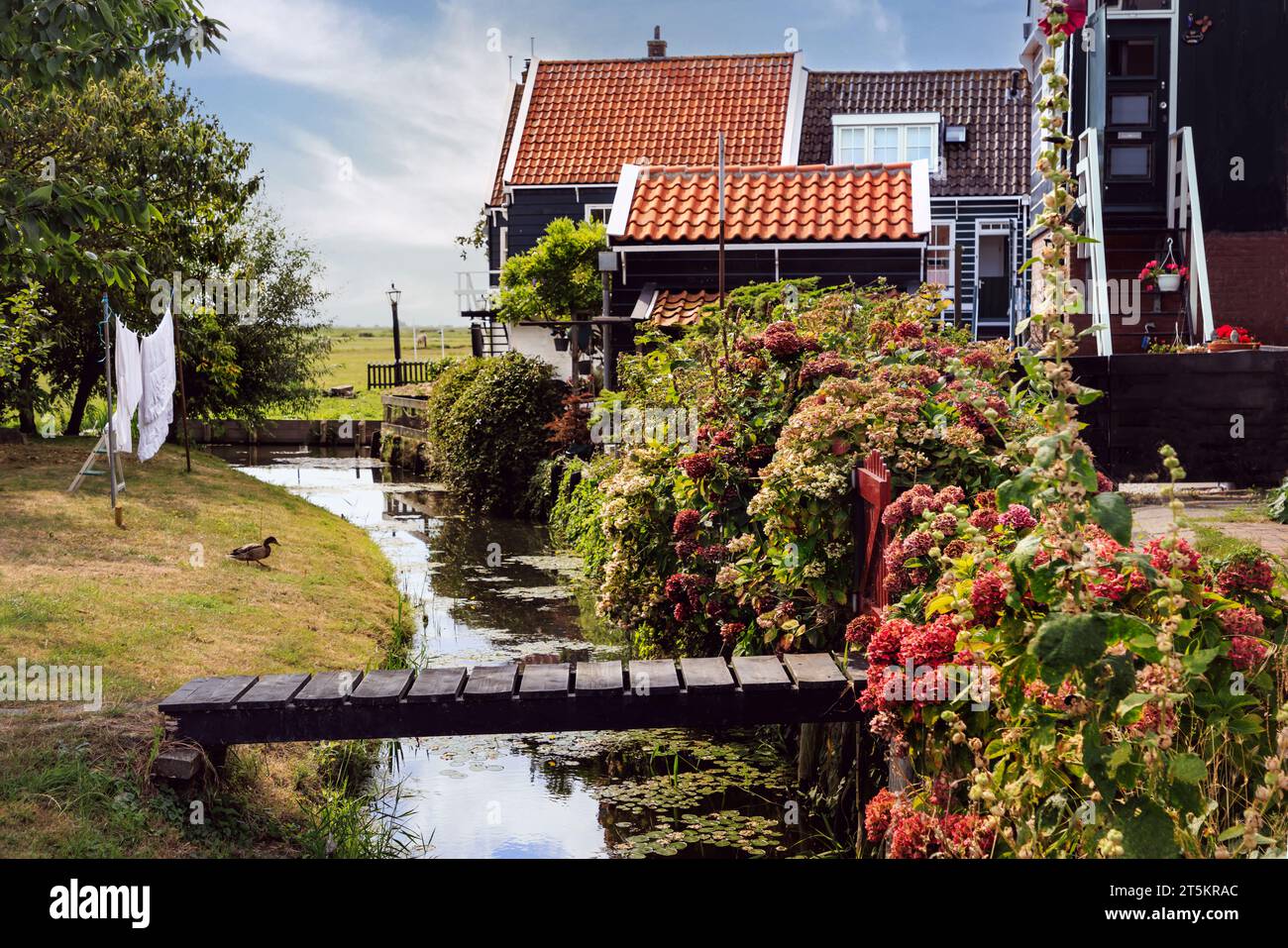 Traditional Dutch houses of wood built with typical architecture Stock ...