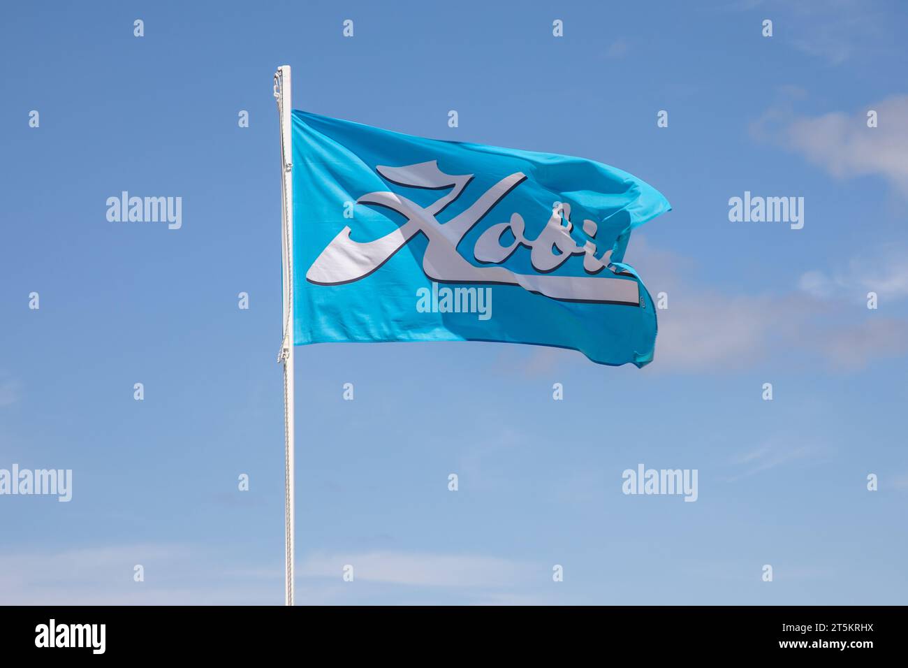 Bordeaux , France - 10 26 2023 : hobie flag logo brand and text sign ...