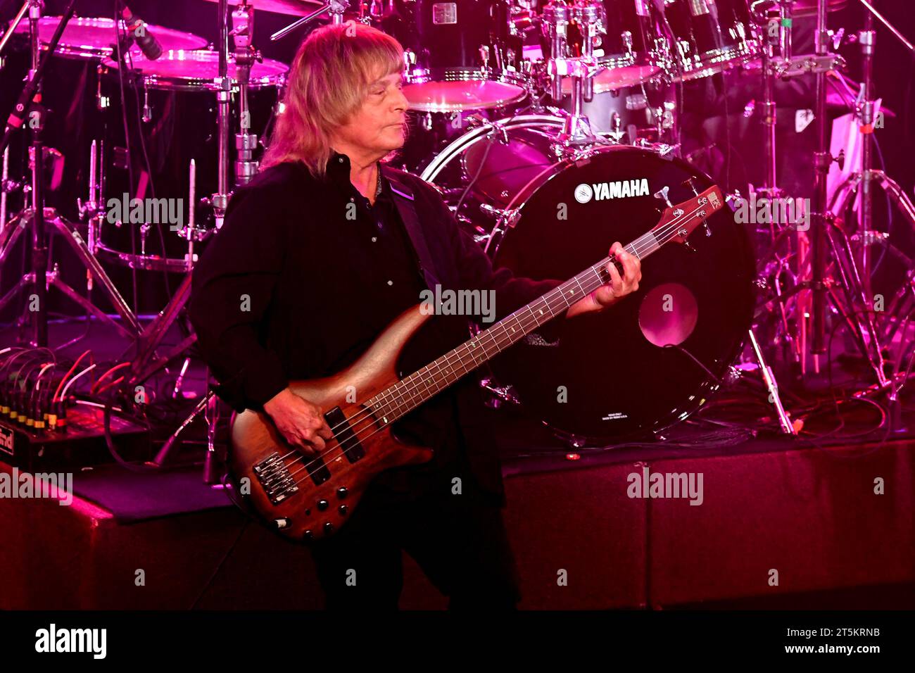 November 2, 2023, San Juan Capistrano, CA, USA: Zebra at The Coach ...