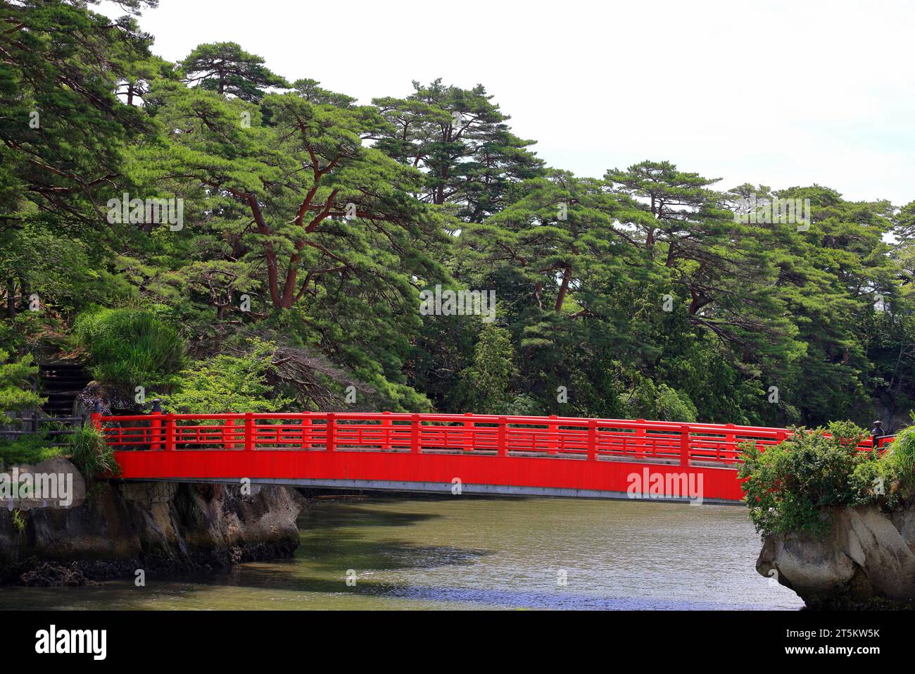Matsushima Bay , beautiful islands covered with pine trees in Miyagi ...
