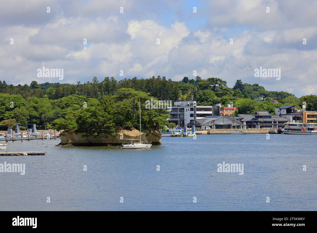 Matsushima Bay , beautiful islands covered with pine trees in Miyagi ...