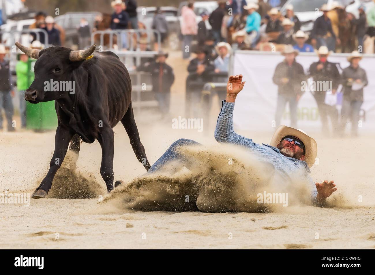 Canberra. 5th Nov, 2023. This photo taken on Nov. 5, 2023 shows a ...